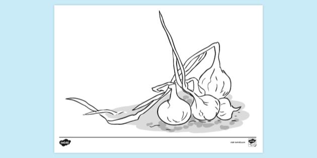 FREE! - Onions Colouring Sheet | Colouring Pages | Twinkl