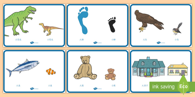 大小比较-展示海报 - 大小比较-展示海报