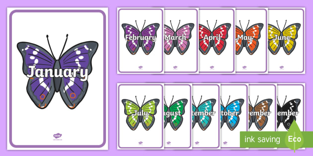 FREE! - 👉 Months of the Year on Butterflies
