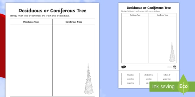 Deciduous or Coniferous Tree Activity (teacher made)