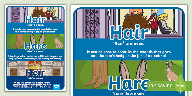 Hair, Hare and Heir Near Homophones Display Poster