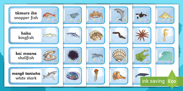 Under the Sea Word Cards Te Reo Māori (teacher made)