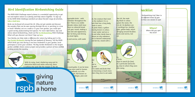 * NEW * Bird Identification Birdwatching Guide (Ages 5 -11)