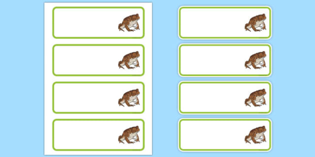 Editable Toad Peg Labels (teacher made)