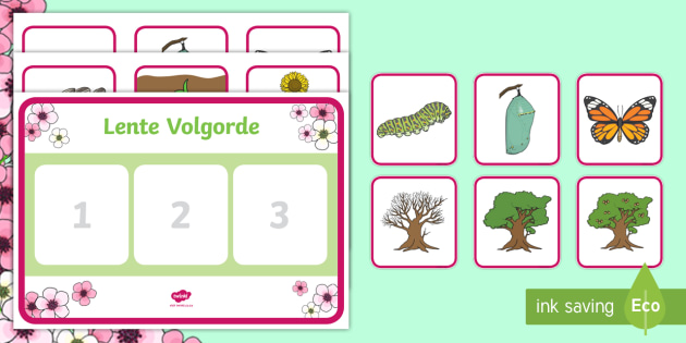 Lente Volgorde Kaartjies (teacher made)