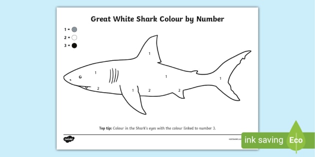 FREE! - Great White Shark Colour By Number (teacher made)