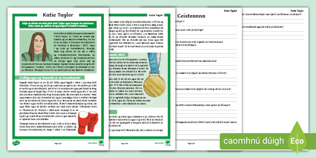 Katie Taylor Comprehension Activity Week Twenty Homework Gaeilge