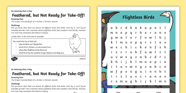 Feathered, but Not Ready for Take-off Worksheet / Worksheet Worksheet