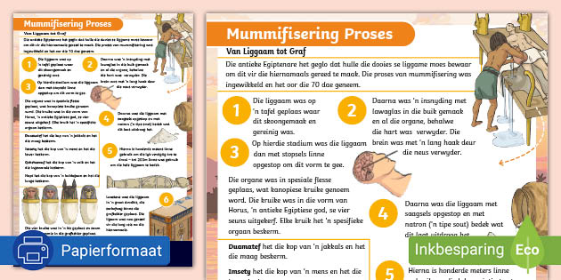 Antieke Egipte - Die Proses van Mummifisering (teacher made)