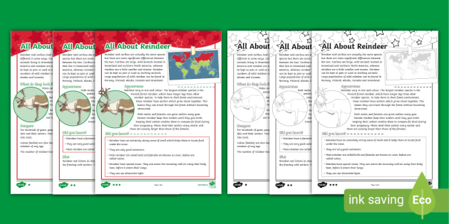 Christmas in Canada All About Reindeer Fact File Activity
