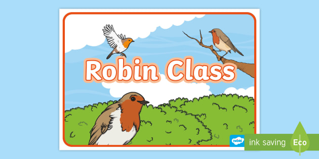 Robin Class Display Poster