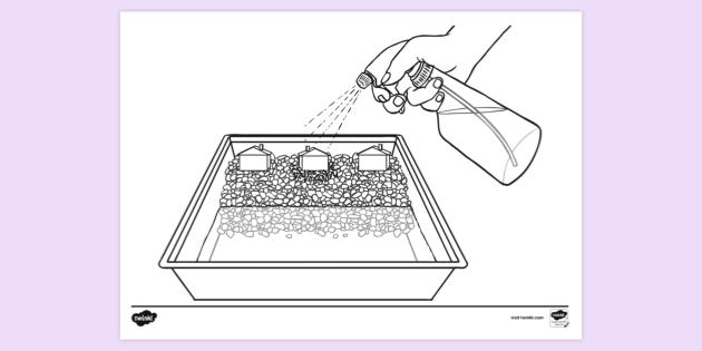 FREE! - Water Pollution Experiment with Rain Colouring Sheet