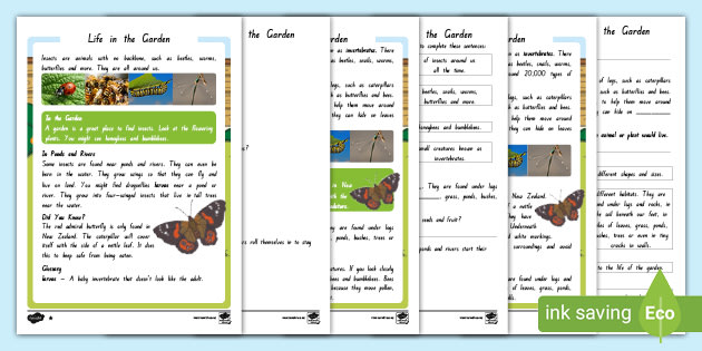 Life in the Garden Differentiated Reading Comprehension