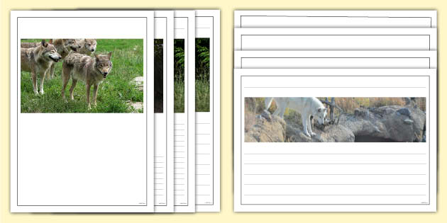 KS2 - Wolves - Writing Frame (teacher made)
