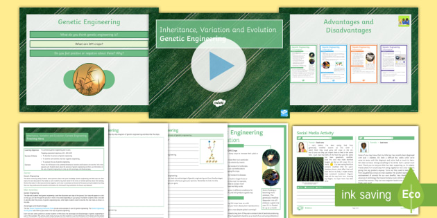 Biology Paper 2 Revision: Unit 6 Inheritance, Variation & Evolution Key ...