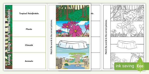 Living Things and their Habitats Tropical Rainforest Flap Book