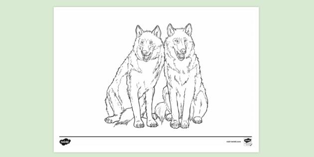 FREE! - Wolves Colouring Sheet | Colouring Sheets