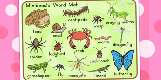 Minibeasts Word Mat (teacher made)