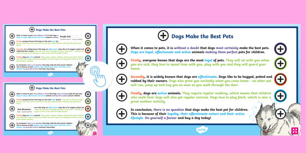 Year 3 NAPLAN Interactive Persuasive Writing TSample