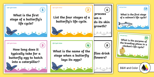 Animal Life Cycle Worksheet Life Cycles Of Animals Worksheets