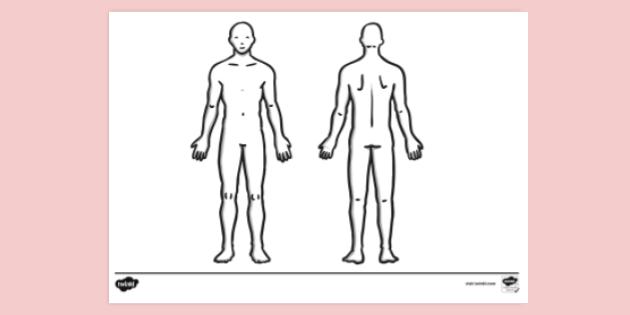 FREE! - Front and Back of Body Colouring Sheet | Colouring Sheets