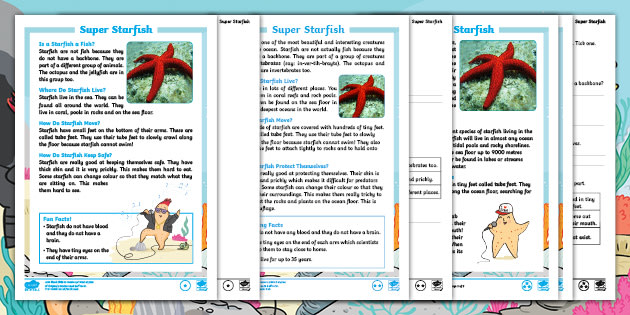 Starry Eyed Stan Super Starfish Differentiated Reading Comprehension ...