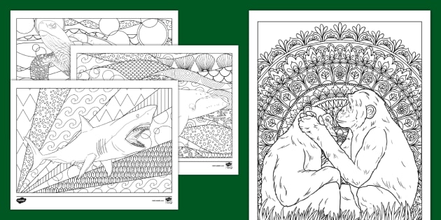 Grade 5 Coloring Pages 49 Best Images About Reconciliation And Other