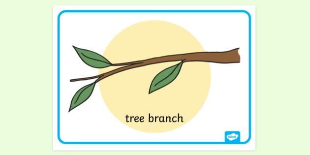 FREE! - Tree Branch Poster | Nature | Display Poster | Twinkl