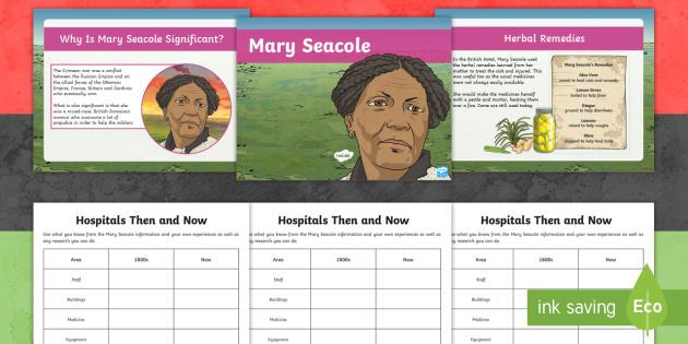 KS2 Mary Seacole Significant Individual Lesson Teaching Pack