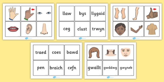 Parts Of The Body Word and Picture Matching Cards Welsh