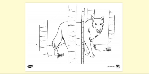Content Wolf in Forest Colouring Sheet