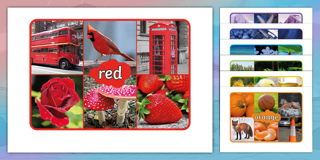 Rainbow Colours Display Photos (teacher made)