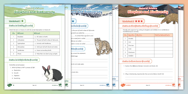 Sustainability Goal 4: Quality Education Word Search