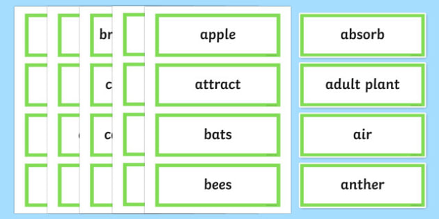 Plants In Action Word Wall Display Cards (teacher made)