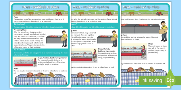 Meat Paddock to Plate Display Poster