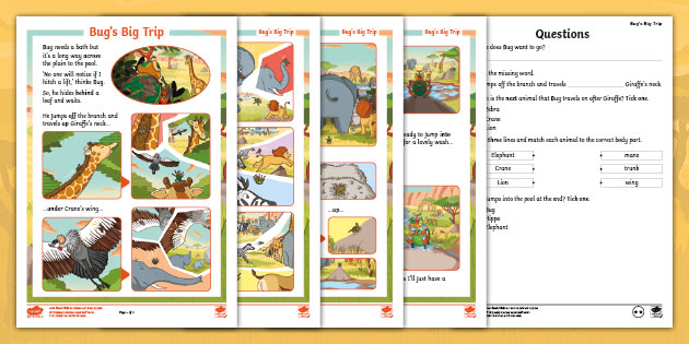 Bug's Big Trip Year 1 Reading Comprehension Activity