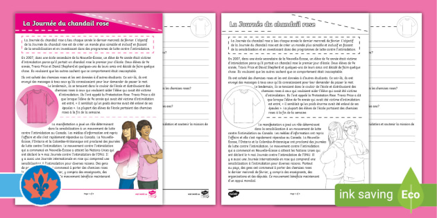 Pink Shirt Day Reading Comprehension French (teacher made)
