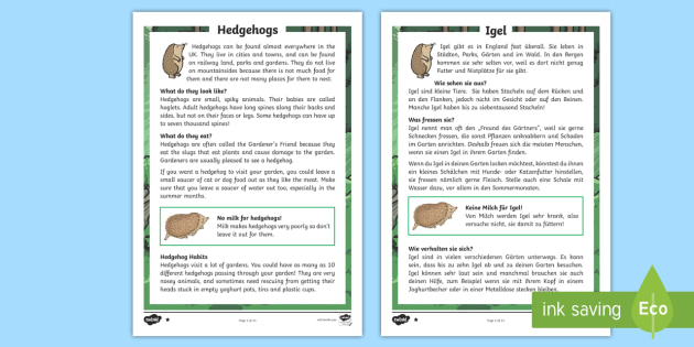 Hedgehogs Differentiated Fact File English/German