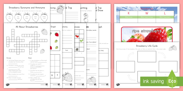 All About Strawberries K-2 Resource Pack - plant, fruit, farm, field trip