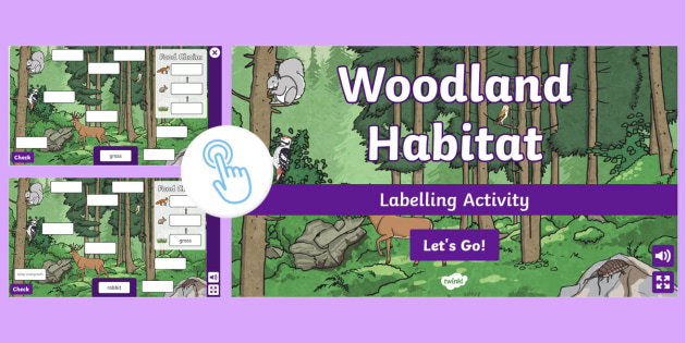 Interactive Woodland Habitat Labelling Activity | Twinkl Go!
