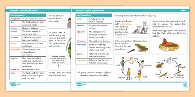 Science Knowledge Organiser: Animals Including Humans Year 2