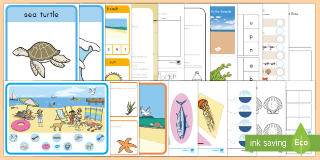 Beach Habitat Early Childhood Resource Pack - beach, beach habitat ...