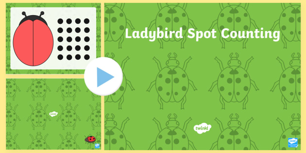Ladybird Spot Counting Activity PowerPoint (teacher made)