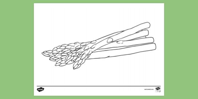 FREE! - Asparagus Colouring Sheet | Colouring Sheets