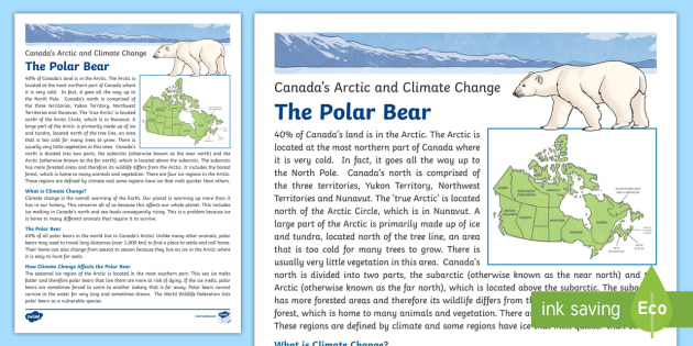 Canada's Arctic: Climate Change and how it Affects the Polar Bear Fact File