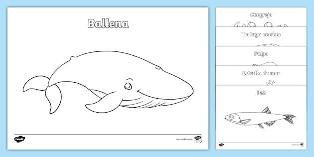 Dibujos Para Colorear De Animales Marinos Para Imprimir