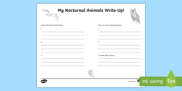 Nocturnal Animals Write-Up Activity (teacher made)