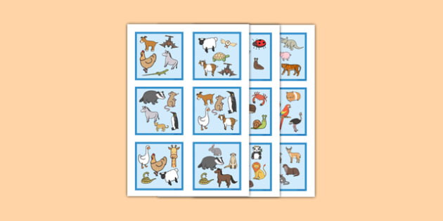 Advanced Snap Card Game Animals (teacher made)