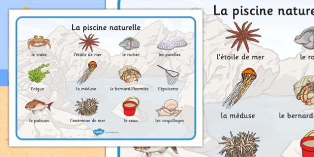 Seaside Rockpool Word Mat French (teacher made)