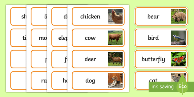 Animals Photo Word Cards (teacher made)